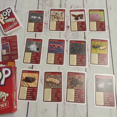 PLOP trumps Extreme > Edu Pszczółka